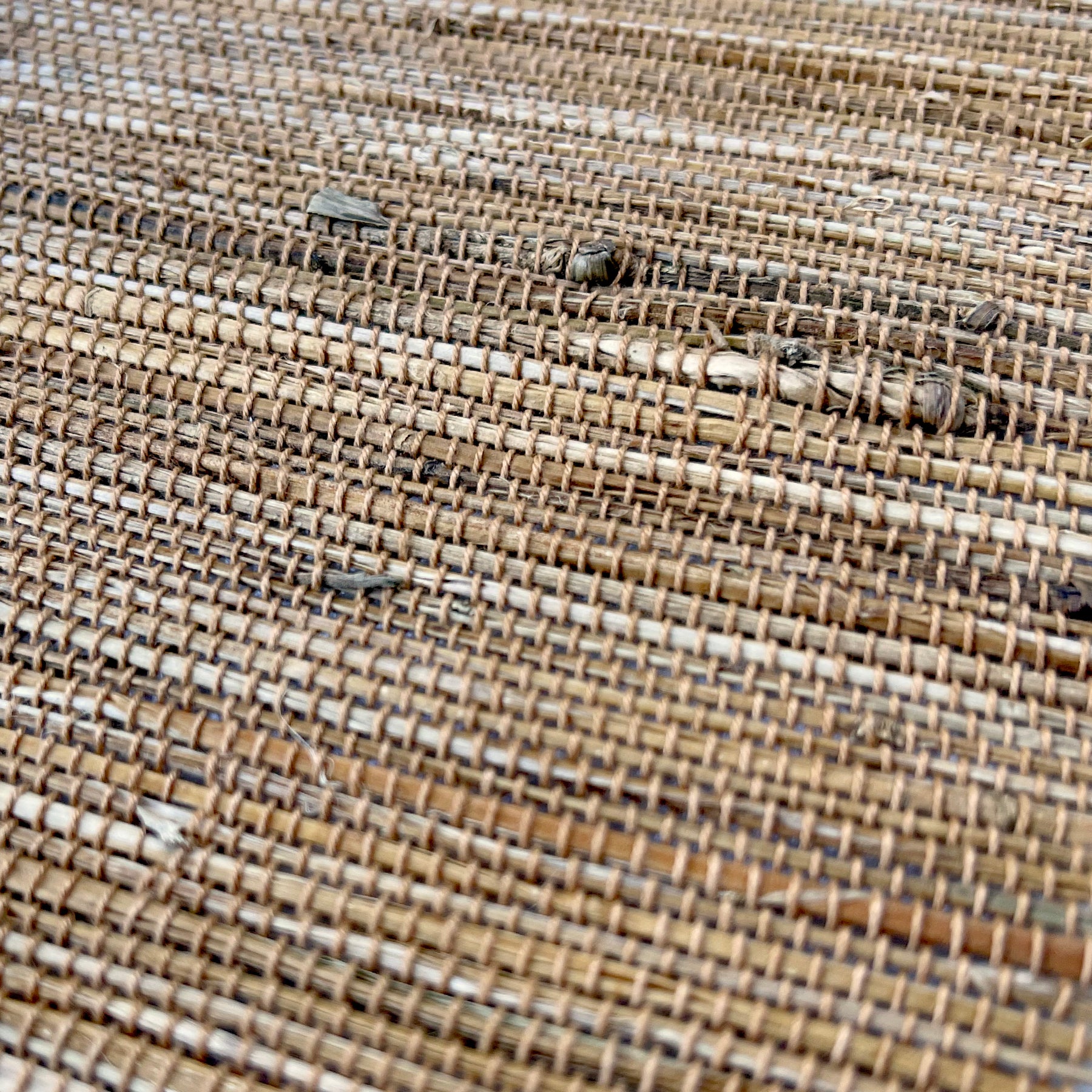 Fully Custom Bamboo Shade w/ Liner: Bespoke Canopy Collection – MOOD