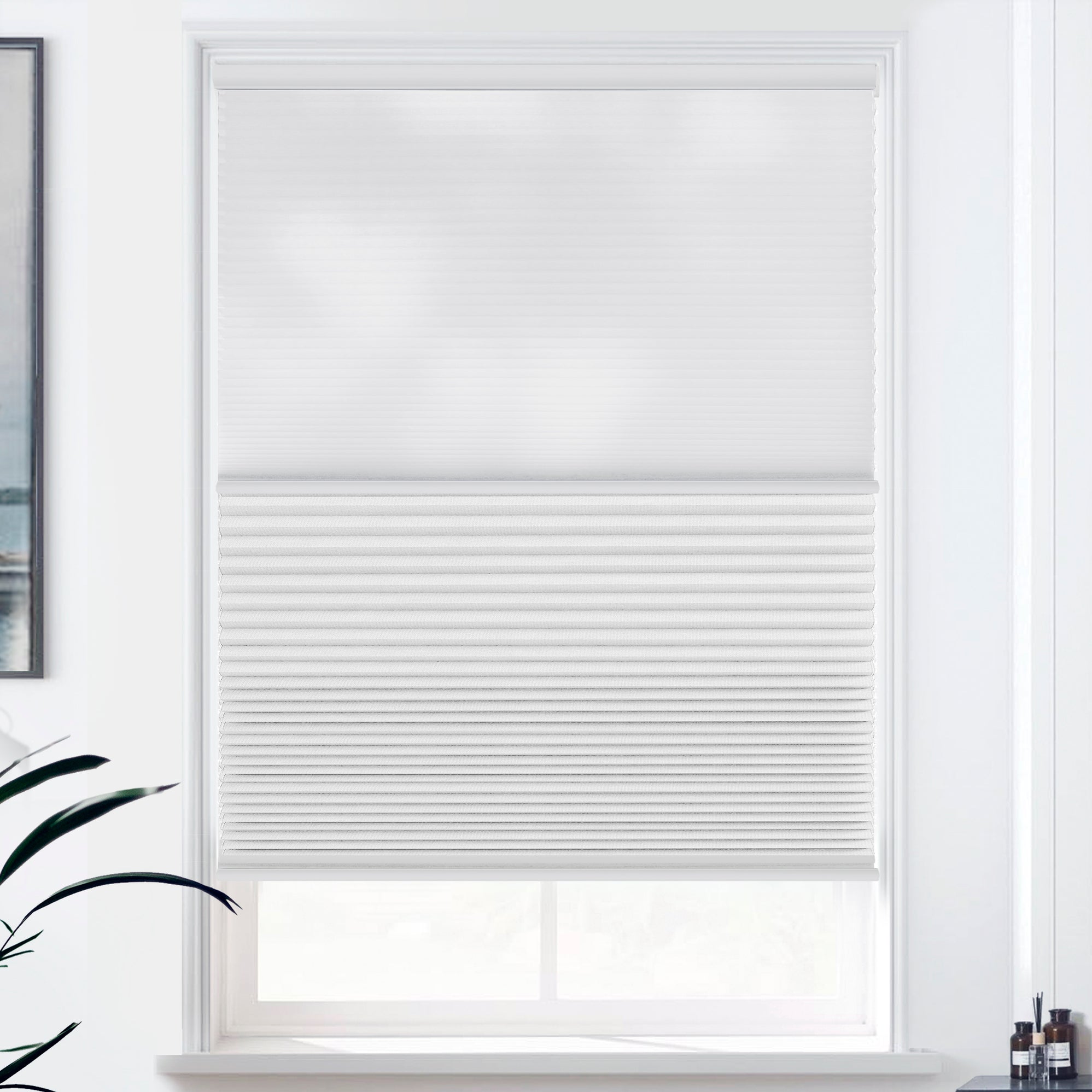 Window Shades — MOOD